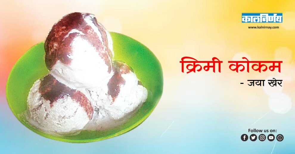 कोकम | Kokum Syrup | Aamsul | Homemade Kokum Recipe | Blog